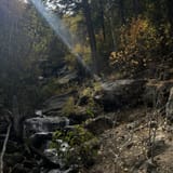 Thomas Trail Loop, Colorado - 1,037 Reviews, Map | AllTrails