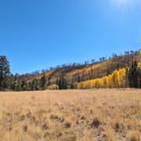 Inner Basin Trail, Arizona - 826 Reviews, Map | AllTrails