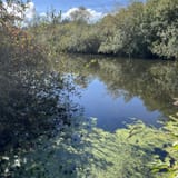 Mercer Slough Nature Park, Washington - 982 Reviews, Map | AllTrails