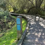 Mercer Slough Nature Park, Washington - 982 Reviews, Map | AllTrails