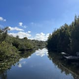 Mercer Slough Nature Park, Washington - 982 Reviews, Map | AllTrails