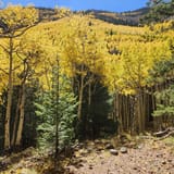 Inner Basin Trail, Arizona - 826 Reviews, Map | AllTrails