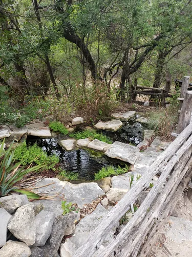 Best Hikes and Trails in Wild Basin Wilderness Park | AllTrails