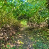 Neversink Loop Trail, Pennsylvania - 1,041 Reviews, Map | AllTrails