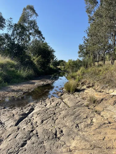 Best Hikes and Trails in Kedron Brook Greenway | AllTrails