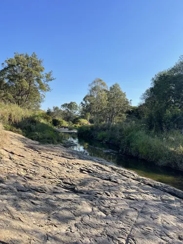 Best Hikes and Trails in Kedron Brook Greenway | AllTrails