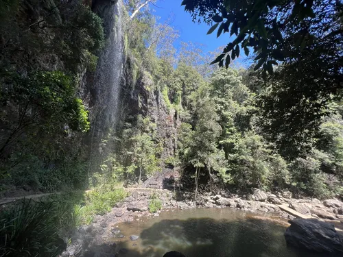 10 Best Waterfall Trails in Springbrook National Park | AllTrails