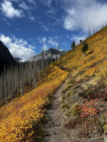 10 Best Hikes and Trails in Waterton Lakes National Park | AllTrails