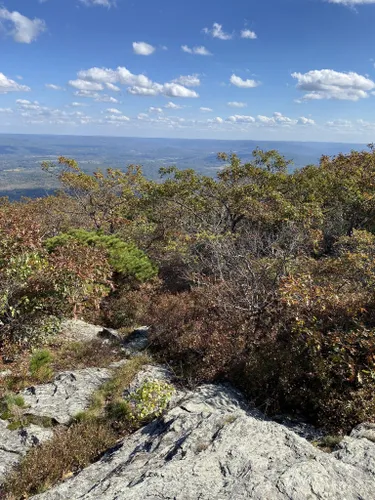 Best Hikes and Trails in Mount Everett State Reservation | AllTrails