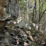 Collins Gulf Trail to Horsepound Falls and Collins River, Tennessee ...