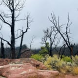 Storm King Mountain Memorial Trail, Colorado - 606 Reviews, Map | AllTrails
