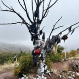 Storm King Mountain Memorial Trail, Colorado - 630 Reviews, Map | AllTrails