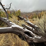 Storm King Mountain Memorial Trail, Colorado - 581 Reviews, Map | AllTrails