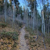 Meadow Loop and Ridge Trail, Colorado - 3,196 Reviews, Map | AllTrails
