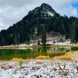 Tipsoo Lake Loop, Washington - 455 Reviews, Map | AllTrails