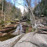 Champney Falls Trail, New Hampshire - 1,558 Reviews, Map | AllTrails