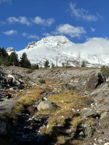 Best Hikes and Trails in Timberline Bike Park | AllTrails