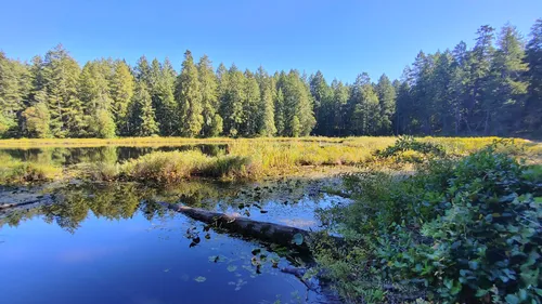 Best Hikes and Trails in Yellow Point Park | AllTrails