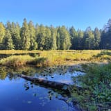 Yellow Point Bog Ecological Reserve and Yellow Point Park Loop, British ...
