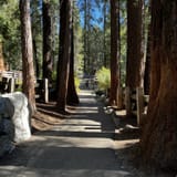 General Sherman Tree Trail, California - 2,623 Reviews, Map | AllTrails