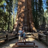 General Sherman Tree Trail, California - 2,623 Reviews, Map | AllTrails