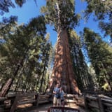 General Sherman Tree Trail, California - 2,623 Reviews, Map | AllTrails