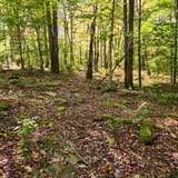 Table Rock, West Virginia - 256 Reviews, Map | AllTrails