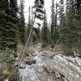 Healy Pass Trail, Alberta, Canada - 1,351 Reviews, Map | AllTrails