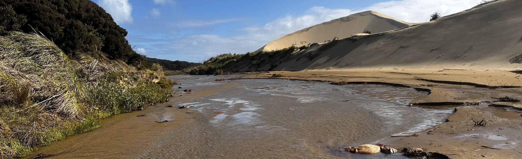 Te Paki Stream Trail, Northland, New Zealand - 4 Reviews, Map | AllTrails