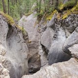 Heart Creek Trail, Alberta, Canada - 3,295 Reviews, Map | AllTrails