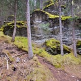 Heart Creek Trail, Alberta, Canada - 3,295 Reviews, Map | AllTrails