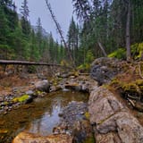 Heart Creek Trail, Alberta, Canada - 3,295 Reviews, Map | AllTrails