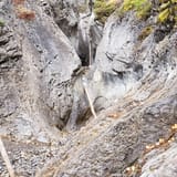 Heart Creek Trail, Alberta, Canada - 3,295 Reviews, Map | AllTrails