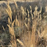 Robinson Canyon Loop, Washington - 178 Reviews, Map | AllTrails