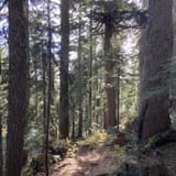 Mount Fromme via St. Georges Trail, British Columbia, Canada - 1,211 ...