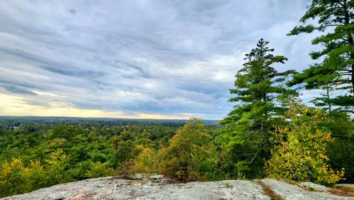 Best Hikes and Trails in Rock Rimmon State Forest | AllTrails