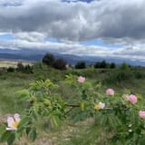 Narrabundah Hill, Australian Capital Territory, Australia - 150 Reviews ...