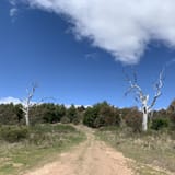 Narrabundah Hill, Australian Capital Territory, Australia - 150 Reviews ...