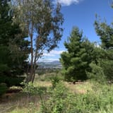 Narrabundah Hill, Australian Capital Territory, Australia - 150 Reviews ...