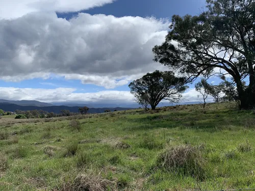 Best Hikes and Trails in Narrabundah Hill Reserve | AllTrails