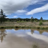 Narrabundah Hill, Australian Capital Territory, Australia - 150 Reviews ...