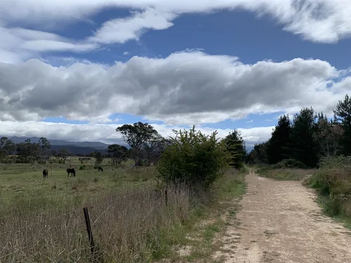 Best Hikes and Trails in Narrabundah Hill Reserve | AllTrails