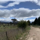 Narrabundah Hill, Australian Capital Territory, Australia - 147 Reviews ...