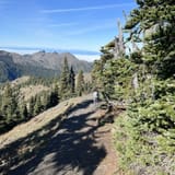 Sunrise View Point via High Ridge Nature Trail, Washington - 845 ...