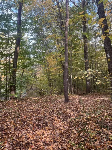 Best Hikes and Trails in Manhan River Conservation Area | AllTrails