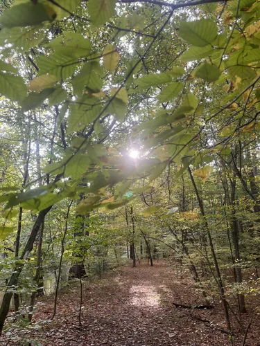 Best Hikes and Trails in Manhan River Conservation Area | AllTrails