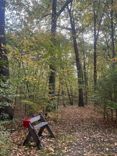 Best Hikes and Trails in Manhan River Conservation Area | AllTrails