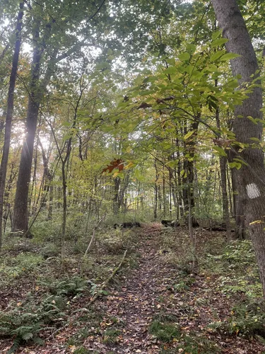 Best Hikes and Trails in Manhan River Conservation Area | AllTrails