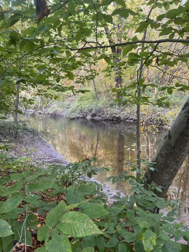 Best Hikes and Trails in Manhan River Conservation Area | AllTrails