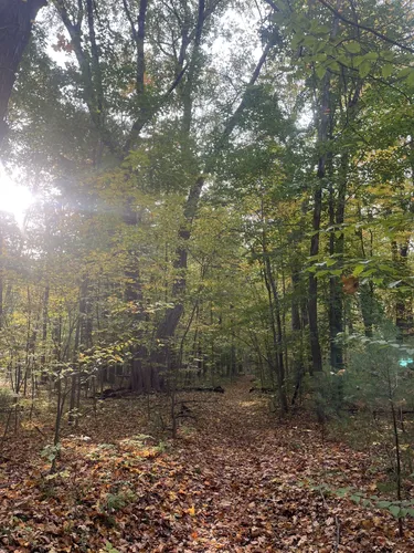 Best Hikes and Trails in Manhan River Conservation Area | AllTrails